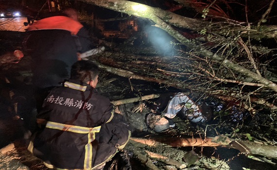 埔里鎮台灣地理中心碑29日凌晨發生大樹倒榻壓傷民眾的意外事件 觀傳媒